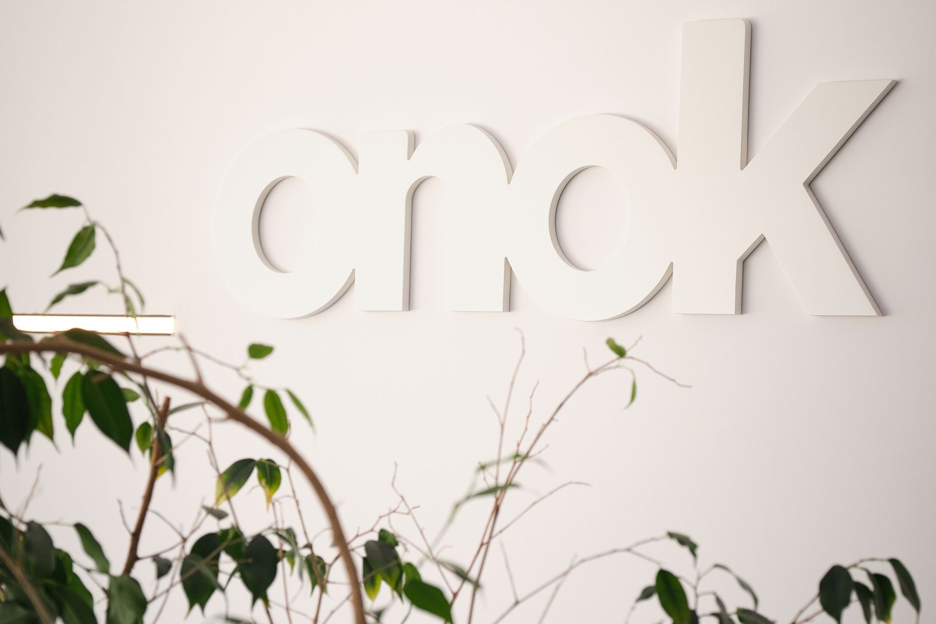 Somos Onok | Onok Lighting