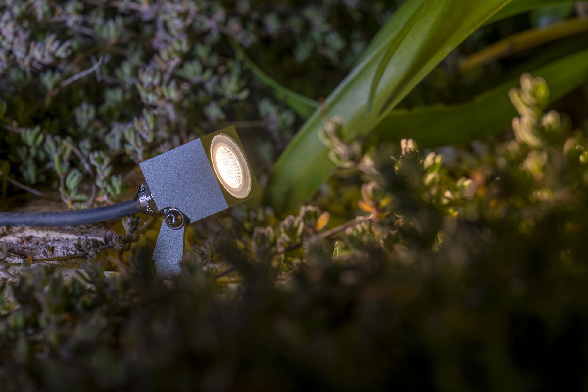 Transform your outdoor space with LED lighting: A complete guide for ...
